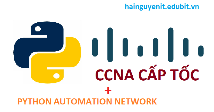CCNA cấp tốc và Python automation cho network admin