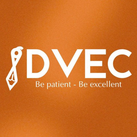 DVEC E-LEARNING